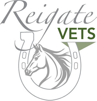 Home - Reigate Vets